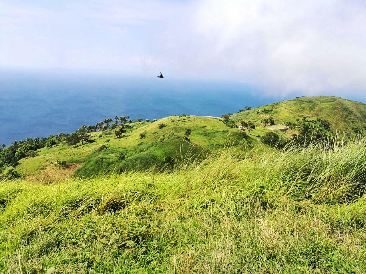 MT. GULUGOD BABOY: Day Hike Guide + Itinerary & Useful Tips (2023)