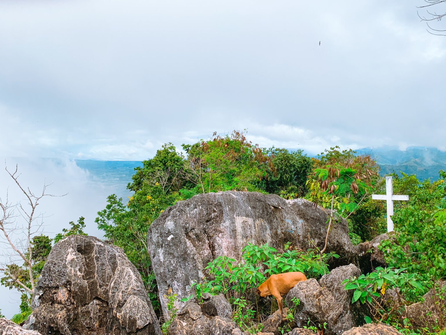 MT. CAPISTRANO: Day Hike Guide, Budget, Itinerary & Useful Info | A ...
